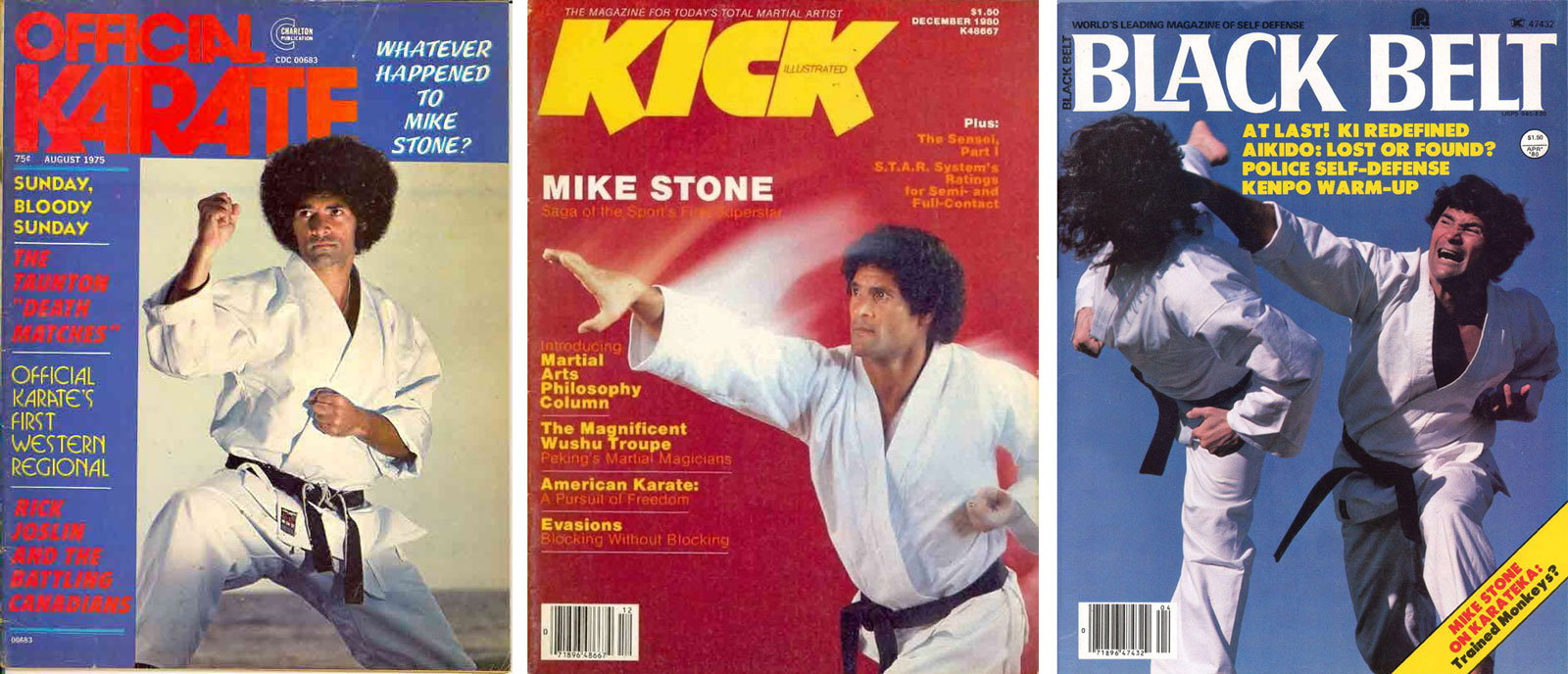 MIKE STONE: ‘THE FIRST NINJA’ – Vintage Ninja